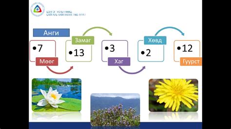 Ургамлын олон янз байдал зүйлийн бүрэлдэхүүн 03 06 №8 Youtube