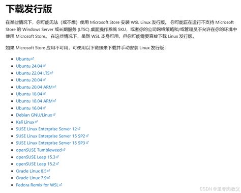 【记录】wsl2ubuntu2004安装记录wslubuntu2004 Csdn博客