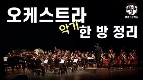 오케스트라 악기 한 방 정리 Youtube