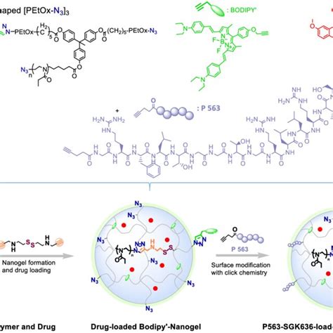 Schematic Illustration Of Fabrication And Functionalization Of
