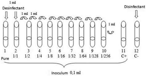 Method Of Determining Minimal Inhibitory Concentration Mic Download Scientific Diagram