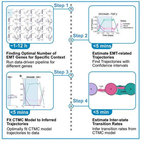 Cell Press Star Protocols