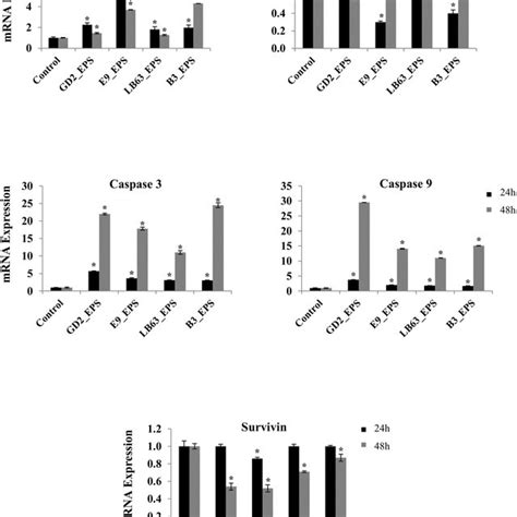 Protein Expression Of Target Genes Of The Ht 29 Cells In The Control