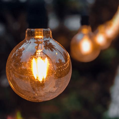 Green Agenda Robert Leechs Eco Friendly Vision