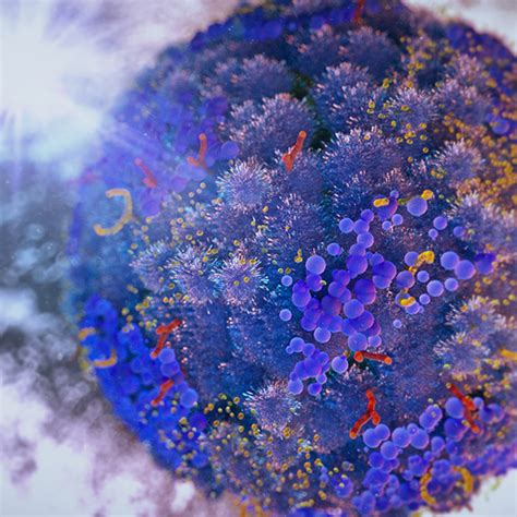 Visualizing Cells On Behance