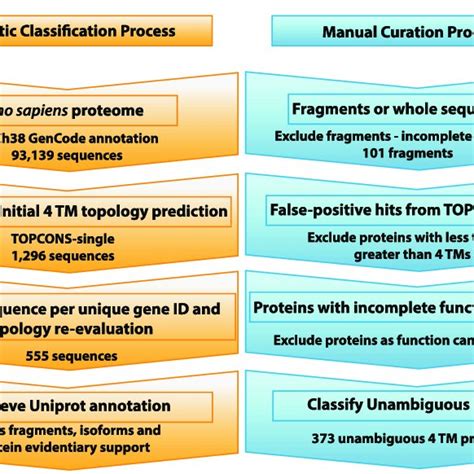 Parts A And B Automatic And Manual Classification Process Part 1a Download Scientific