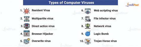 Computer Virus What Is Tools Types History And Prevention