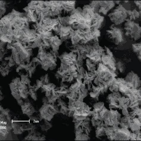 Scanning Electron Microscope Sem Micrographs Of Titanium Dioxide Download Scientific Diagram