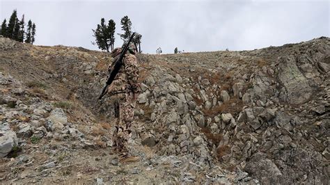 Do You Really Need Camouflage To Hunt An Official Journal Of The Nra