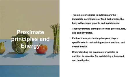 Common Sources Of Various Nutrients And Nutritional Requirements
