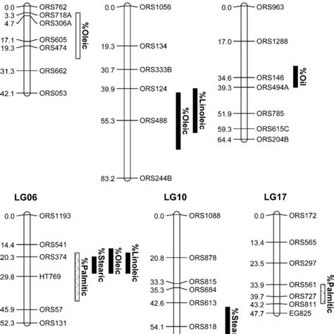 —genetic Map Of Six Linkage Groups Showing The Locations Of Qtl