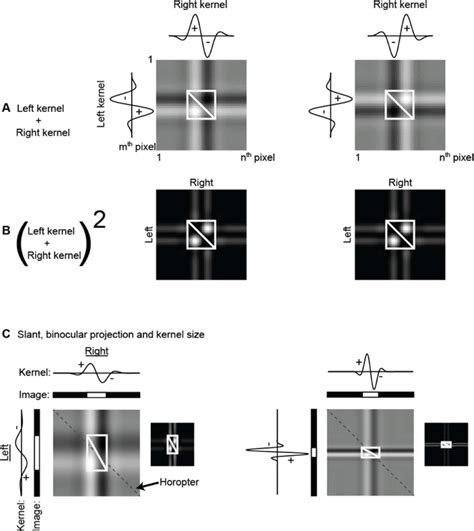 Binocular Receptive Fields Obtained By Summing And Squaring