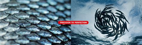 eps software engineering ag linkedin