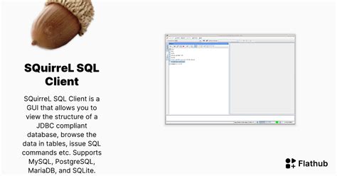 installar squirrel sql client sur linux flathub