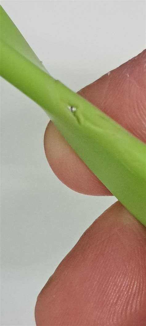 모니터 연결 선 지식in