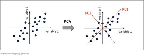 principal component analysis using r