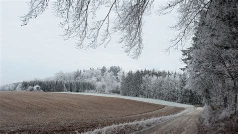 Колко е важен студът за растенията Agri Bg