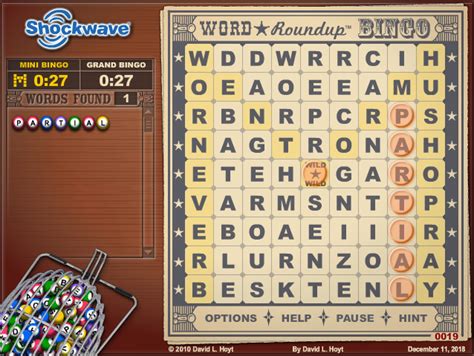 Word Roundup Bingo Adobe Flash Game By Shockwave 200
