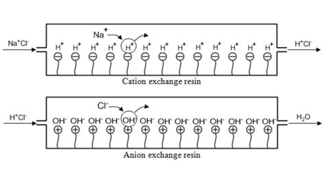 Neutralization Test Definition Principle Types Procedure Results Applications Biology