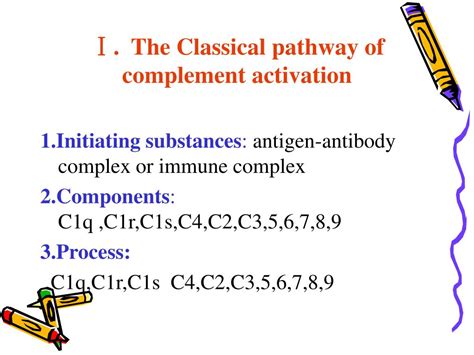 PPT Chapter Complement PowerPoint Presentation Free Download ID PPT Chapter Complement PowerPoint Presentation Free Download ID