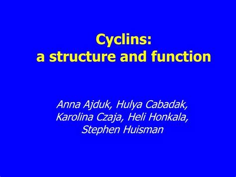 Ppt Cyclins A Structure And Function Powerpoint Presentation Free