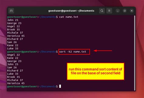 How To Use The Sort Command In Linux 10 Easy Ways