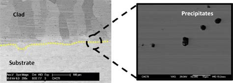 Sem Micrograph Showing The Microstructure In The Clad Haz Interface Download Scientific Diagram