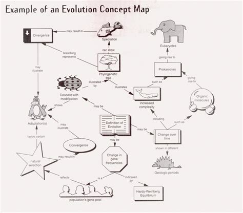Theory Evolution Theory Evolution Concept Map