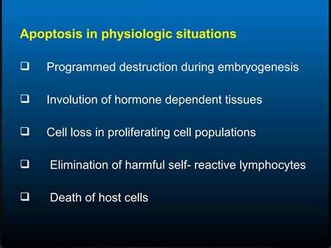 Apoptosis Ppt