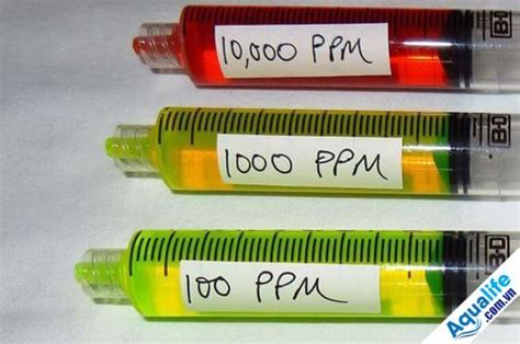 C Ch I N V Ppm Sang Mg M Trong N C