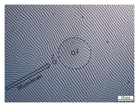 A Sem Image Of The Indented Area With Cr Lamellae In Nial Matrix