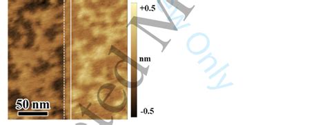 Enlarged View Of Fig 6c The White Dotted And Solid Lines Indicate
