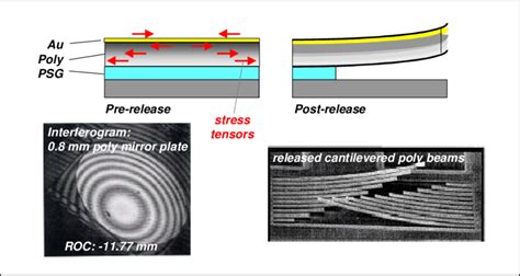Surface Micromachined Polysilicon Download Scientific Diagram