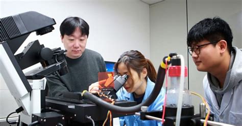 혈관 구멍 형성 메커니즘 밝혔다