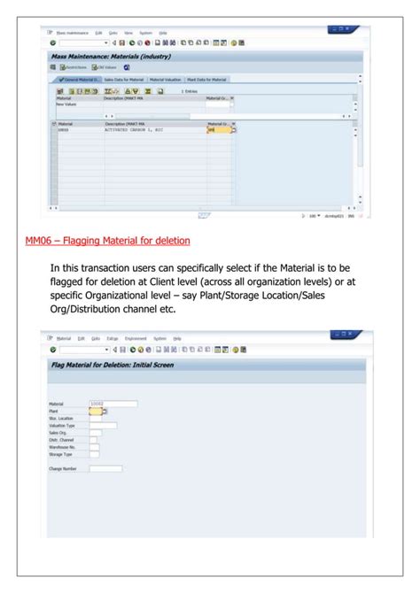 SAP MM Essential Master Data DOCX