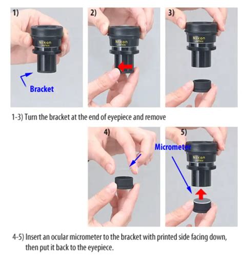 Ocular Micrometer Definition Principle Parts Applications Biology Notes Online