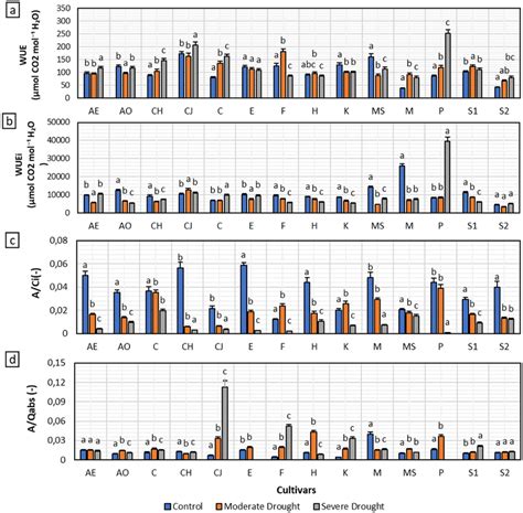 A Wue Intrinsic Water Use Efficiency In Leaves A Gsw µmol Co2 Download Scientific Diagram