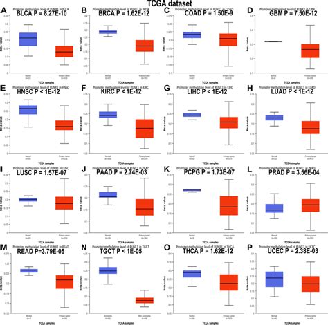 Runx1 Promoter Methylation Analysis In Pan Cancer Based On Ualcan