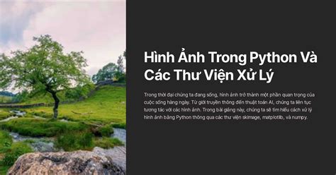 Hình Ảnh Trong Python Và Các Thư Viện Xử Lý