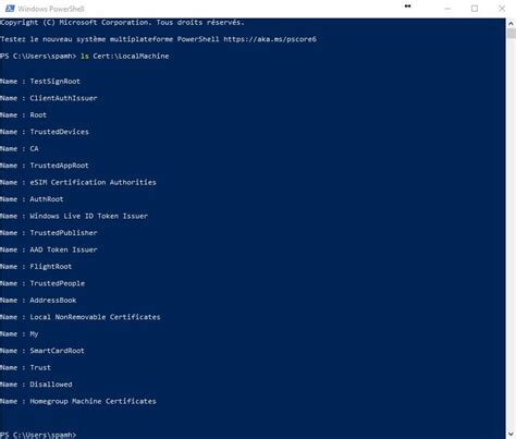 Certutil Importer Exporter Les Certificats De Windows En Ligne De Commandes Malekal