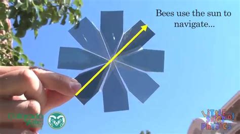 Show Me Some Science Polarization Of The Sky Youtube