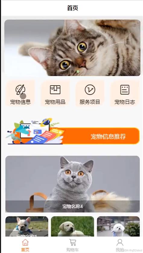 宠物用品商城服务小程序毕业设计宠物用品商城软件设计研究意义 Csdn博客