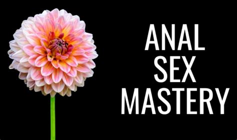 Pleasure Mechanics Anal Sex Mastery Item Digital