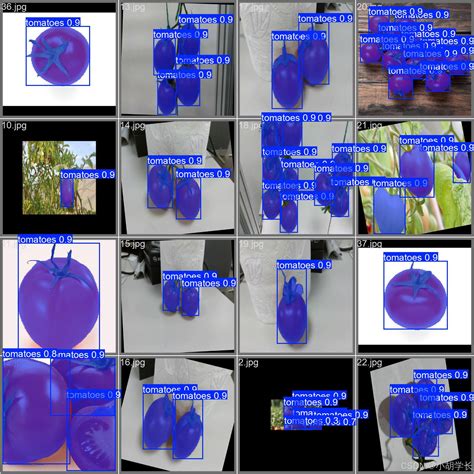 总结yolov8做图像实例分割训练时的一些常识点yolov8 图像分割 Csdn博客