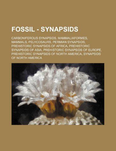 Fossil Synapsids Carboniferous Synapsids Mammaliaformes Mammals