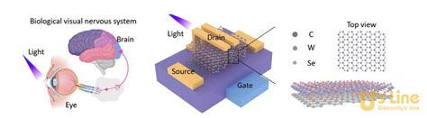 고려대 광감각 인공 시냅스 기능을 갖는 초박형 수직 박막 트랜지스터 개발