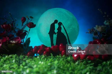 저와 결혼해 주시겠어요 발렌타인 데이 아트 워크 장식입니다 어두운 톤된 배경에 대해 마음으로 아름 다운 신부 발렌타인 데이 인사말 카드 장식 0명에 대한 스톡 사진 및 기타