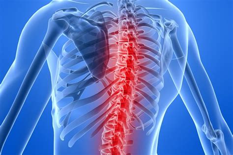 ჯანსაღი მოქნილი ხერხემალი და წელის ძლიერი კუნთები ამისთვის დღეში მხოლოდ 5 წუთია საჭირო