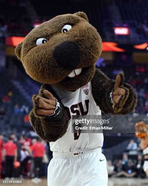 Utah Utes Mascot Photos And Premium High Res Pictures Getty Images