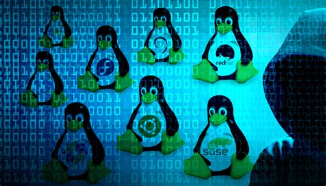 DoS Vulnerabilities Found In Linux Kernel Unpatched Softpedia